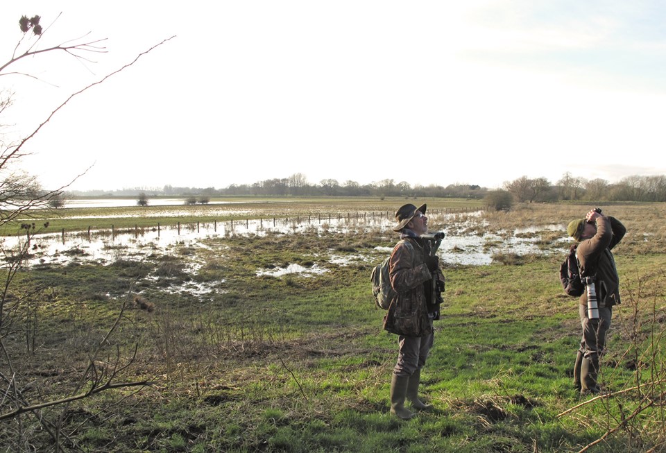 Baggins on the loose: Festive season catch up - Lower Derwent Valley ...