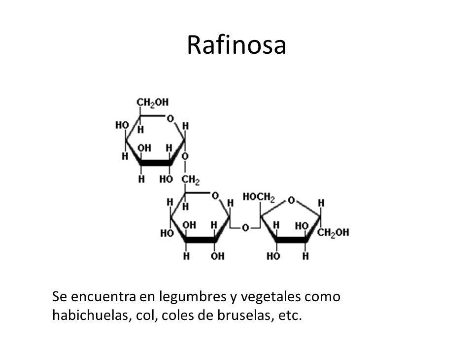 BIOMOLÉCULAS