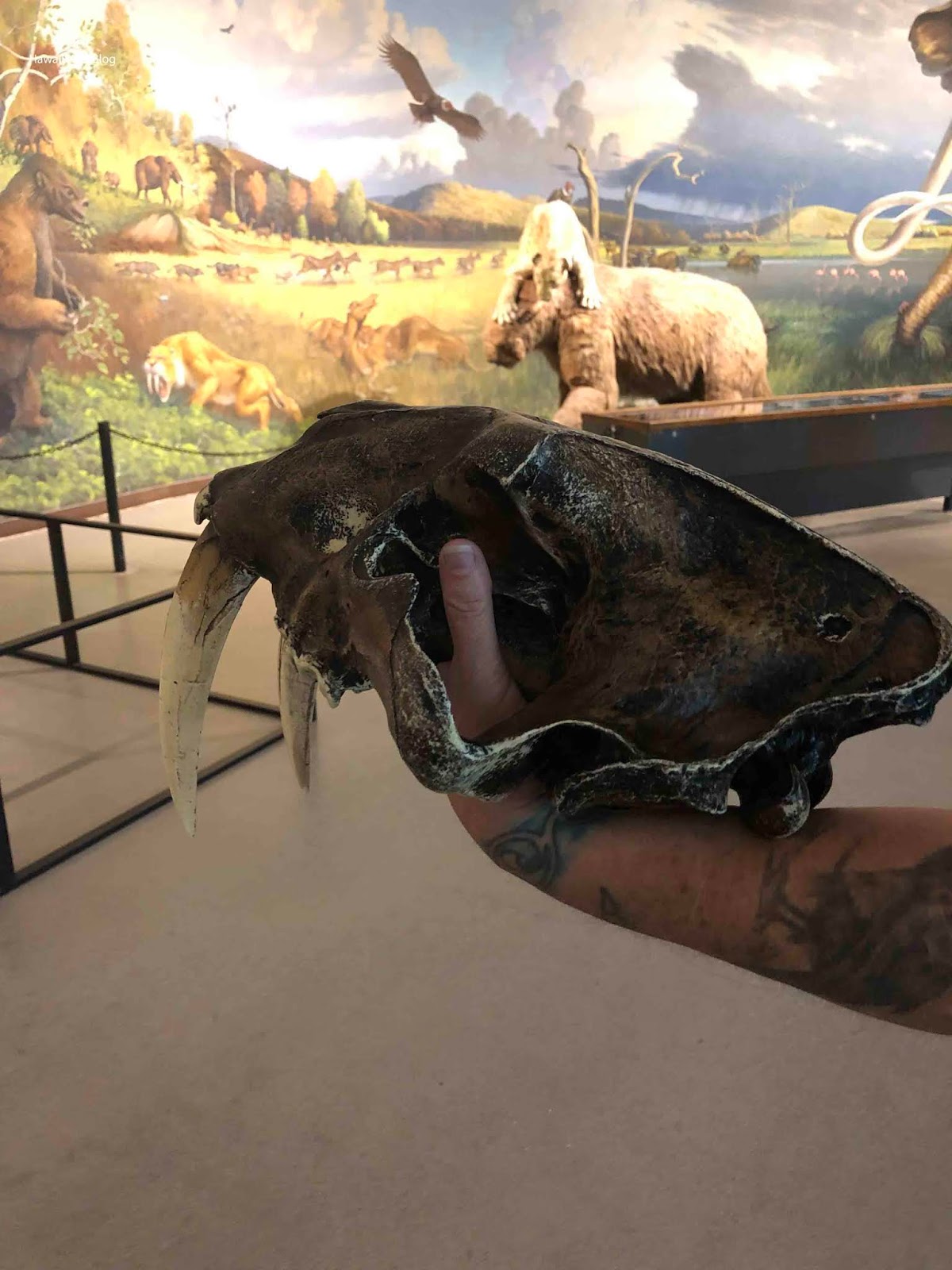 Hawaii Mom Blog: Visit Los Angeles: La Brea Tar Pits & Museum