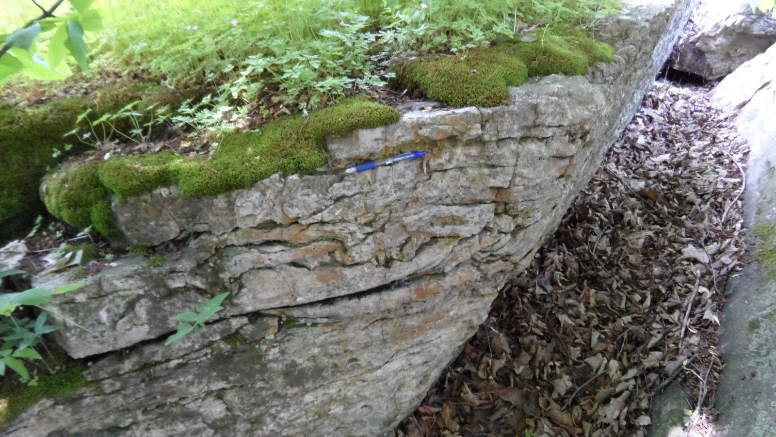 Fossils and Geology of Lanark County, Ontario: Soft-Sediment ...