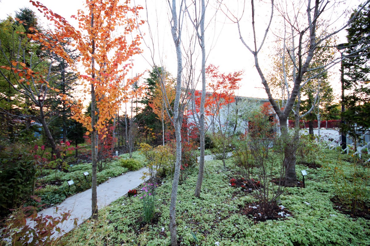 Archi-Tokyo: Karuizawa Hiroshi Senju Museum Ryue Nishizawa