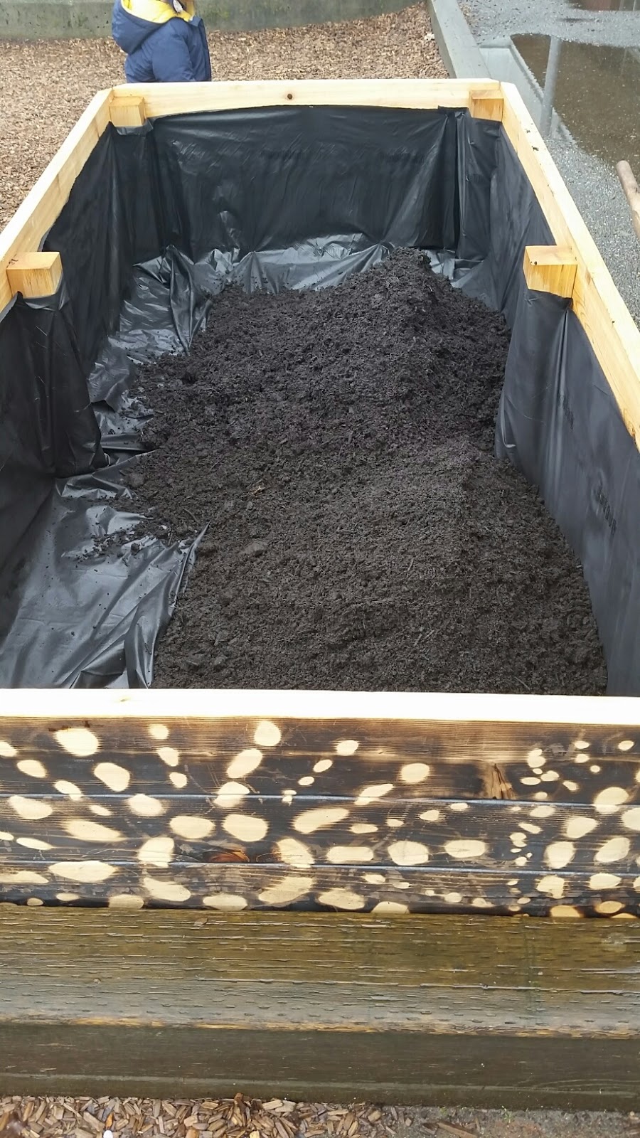 Planter Box Filling planter-box-filling