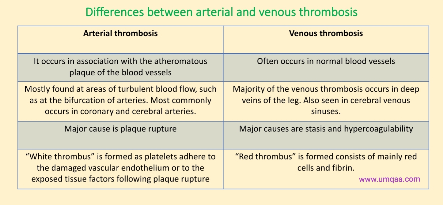 What are the causes of arterial and venous thrombosis?