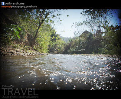 ปายฟอเรสต์ pai forest home