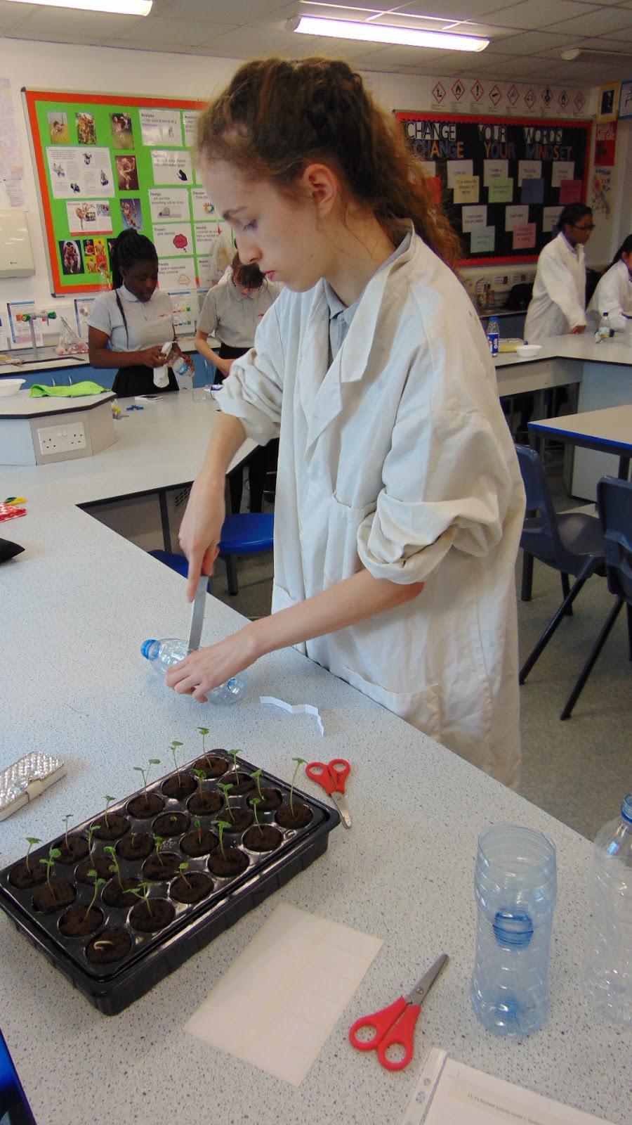 The Smarties Science Club: Hydroponics experiment - THE CRUNCH