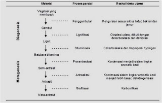 SC - MGEI Universitas Negeri Gorontalo: Proses Pembentukan Batubara
