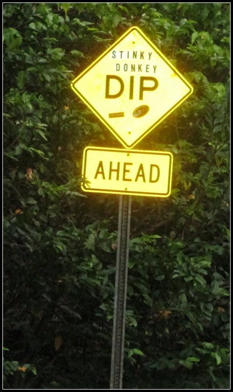 Virgin Islands Vacation Day Five - Patience and Freedom from "Stinky ...