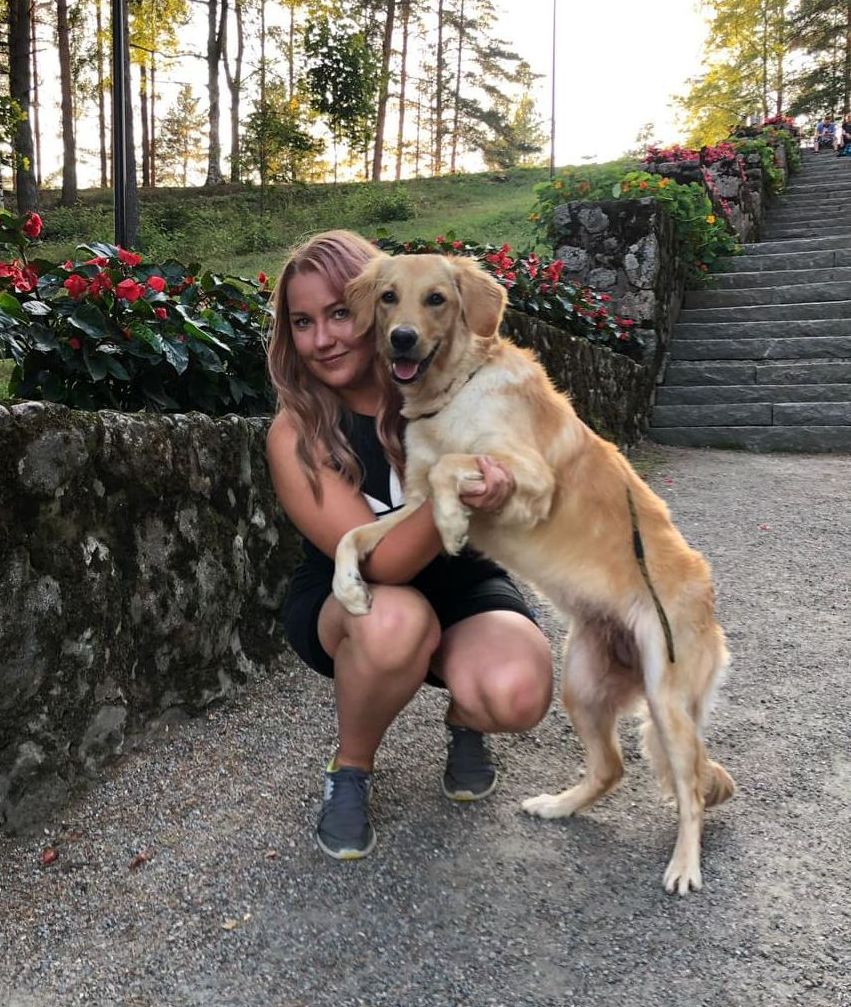 Kultaisten tokotiimi: Jäsenten esittelyt