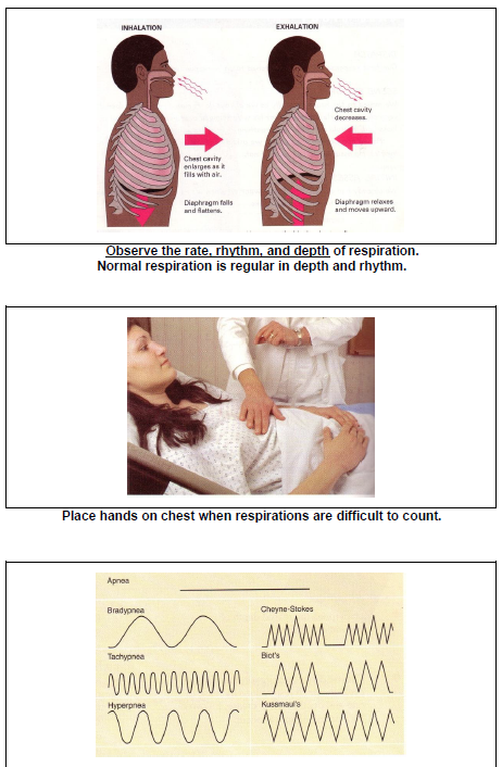Nurses Notes: ASSESSING RESPIRATION