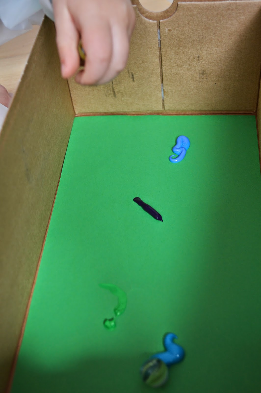 Kunterbunt: Murmelbilder