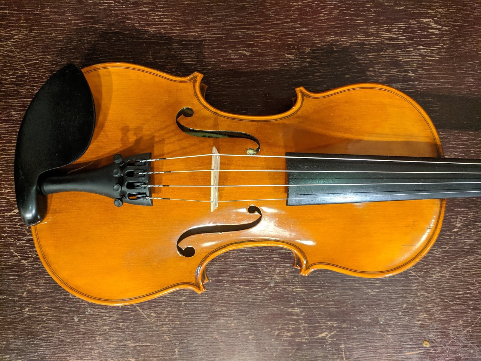 The Violin Shop: Rent or Buy- Which is Best? We've Done the Math!