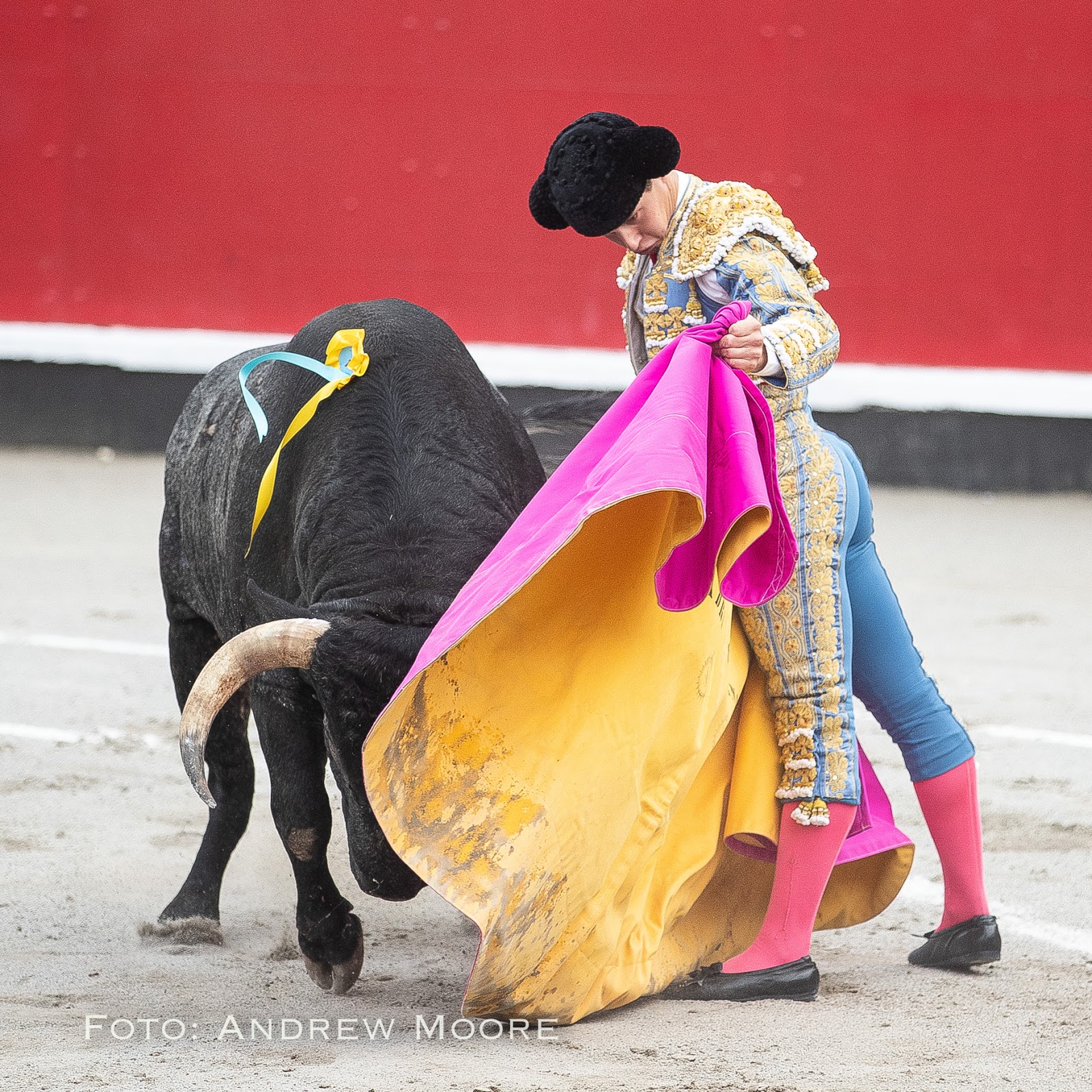 Del toro al infinito: Los toros de Azpeitia en el objetivo de Andrew ...