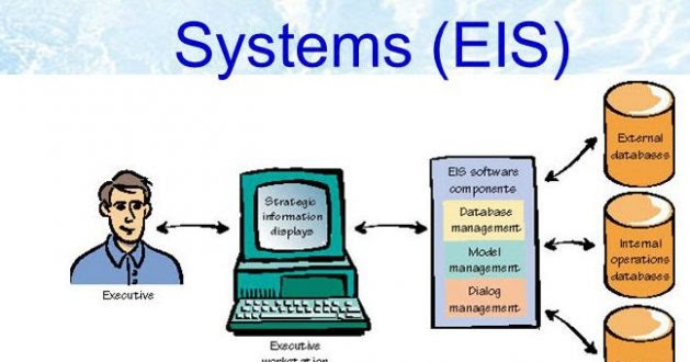 Vlada school blog: Executive information systems (EIS)