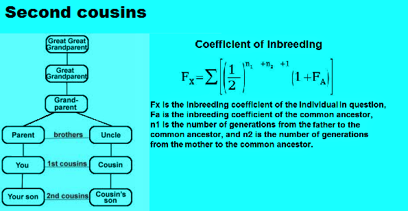 SexualReligion: (154) Coefficient of Inbreeding (C.O.I.)