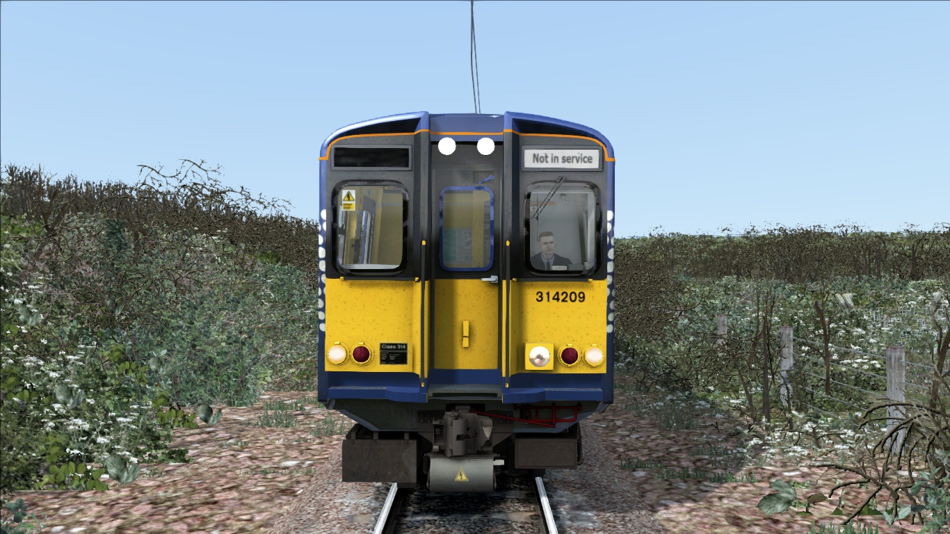 Class 314 - Reskins