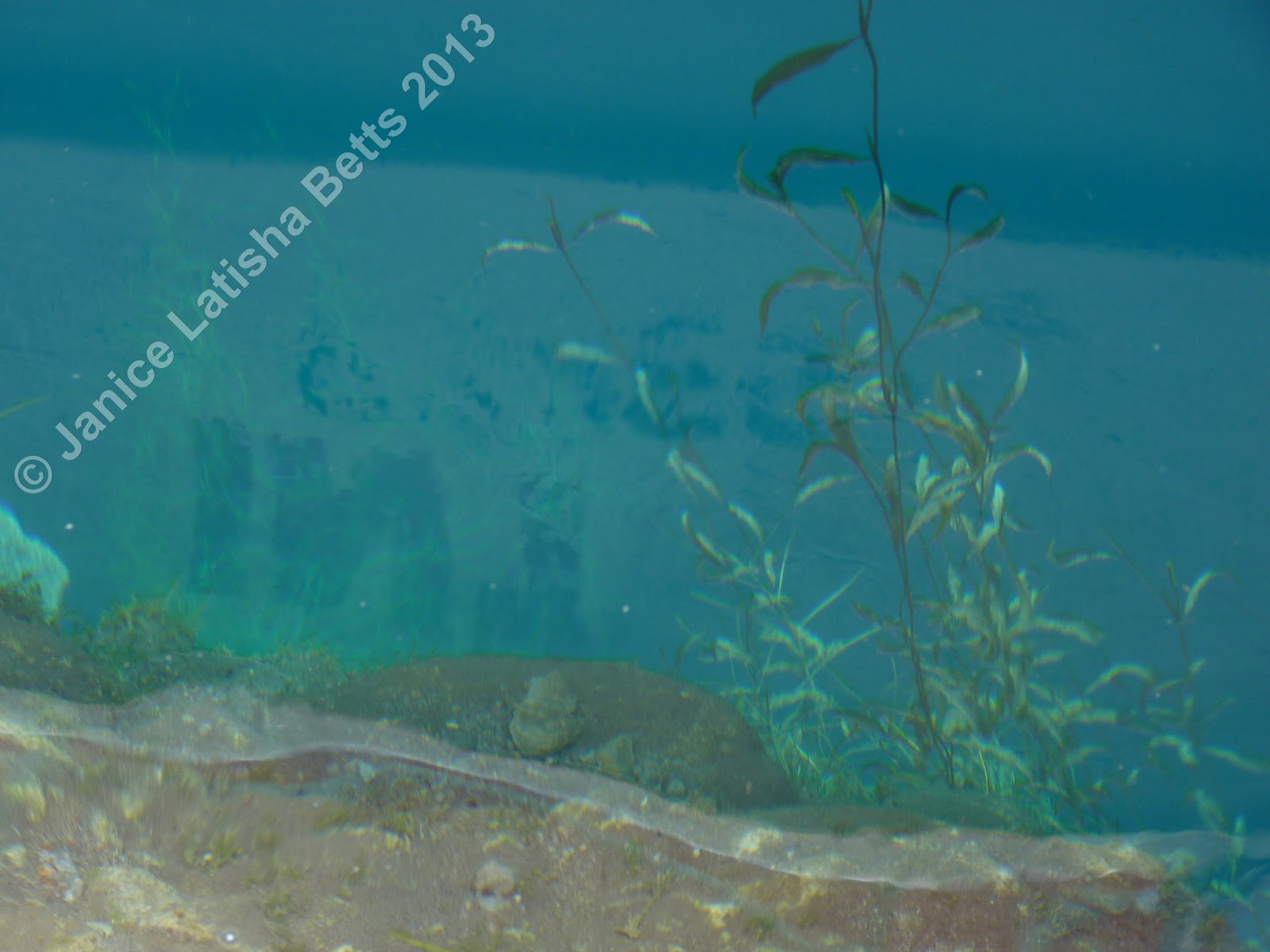 Janice Latisha Betts