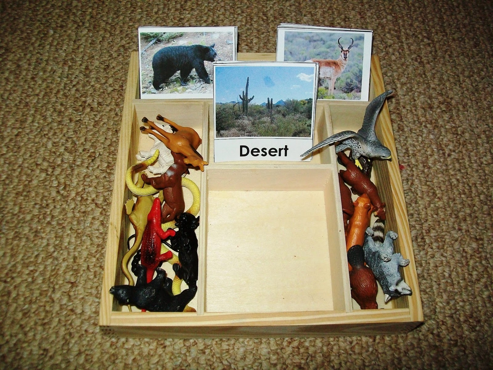 The United States of America Unit with Free Printables - Every Star Is ...