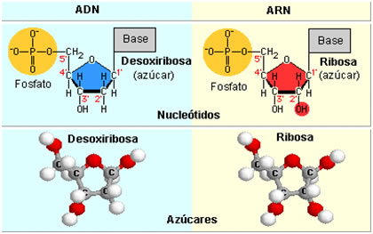 Eleventh Grade: Chemistry