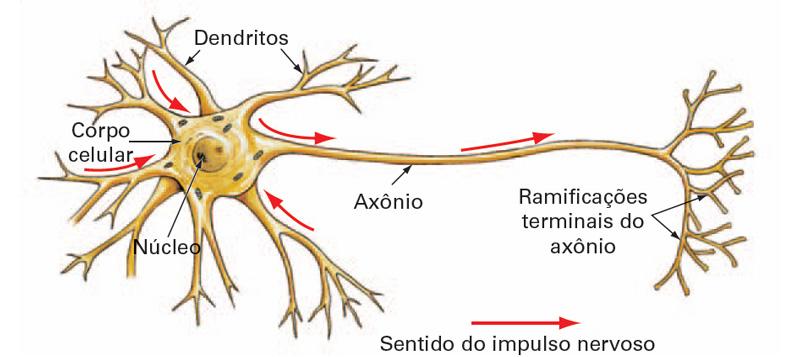 Lição do neurônio