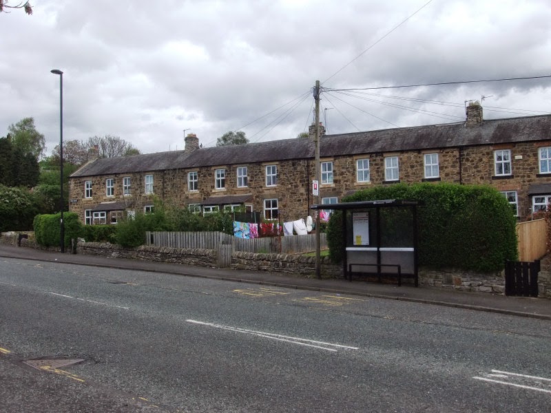 Photographs Of Newcastle: Walbottle