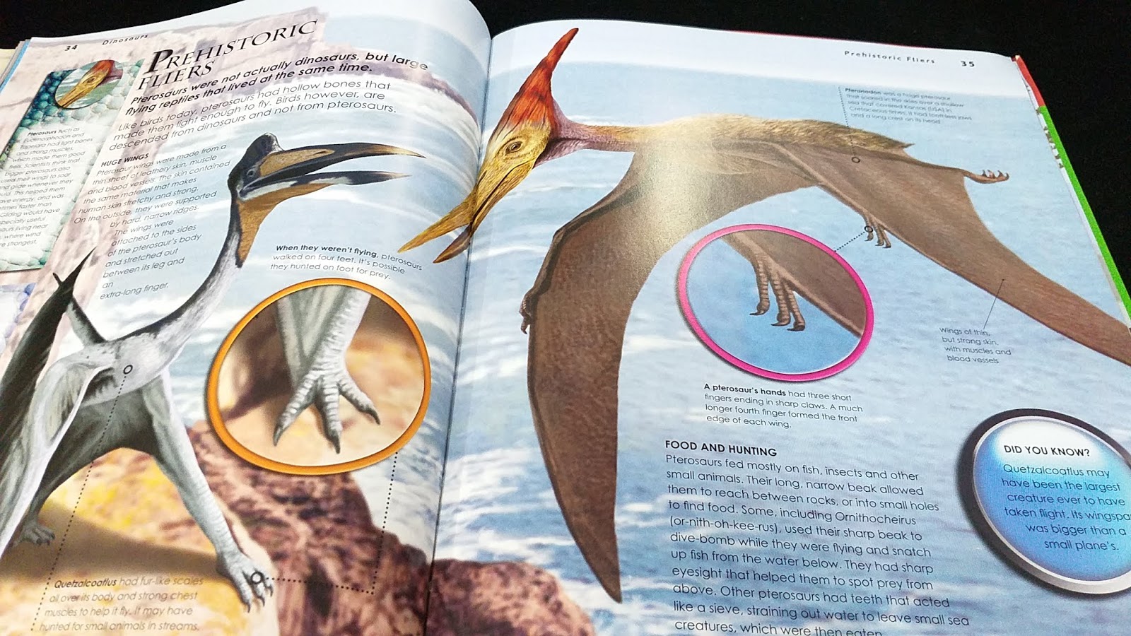 Kid Books Blog: 104.Primary Explorers Dinosaurs / Atlas