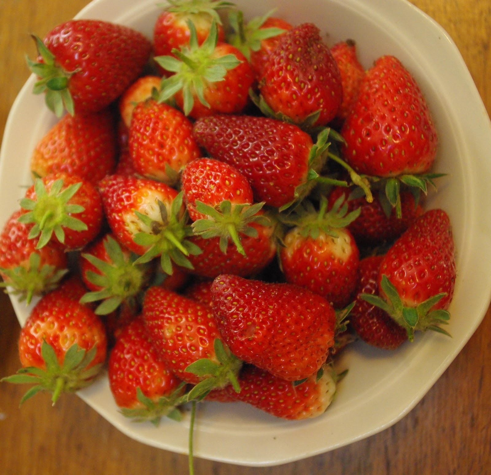 A View From The Cottage: A Look Back at Summer 2012