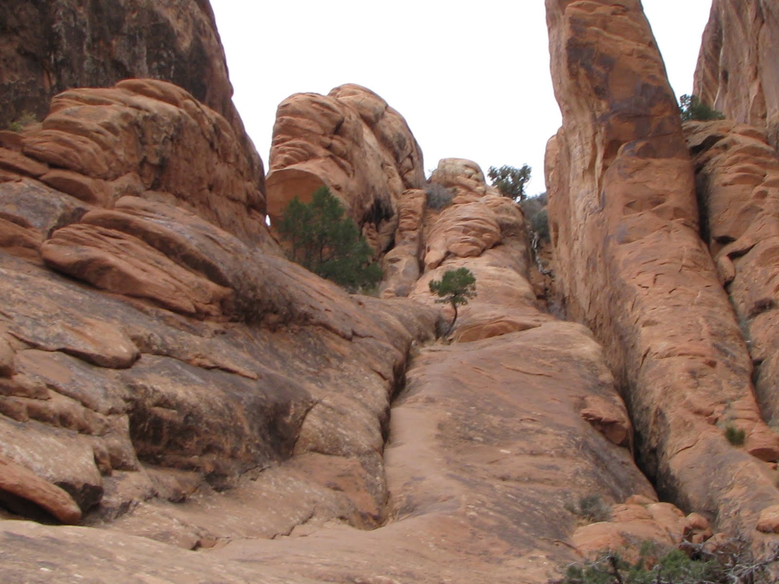 gjhikes.com: Devil's Garden Primitive Loop