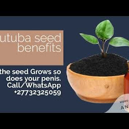 Mutuba Seed