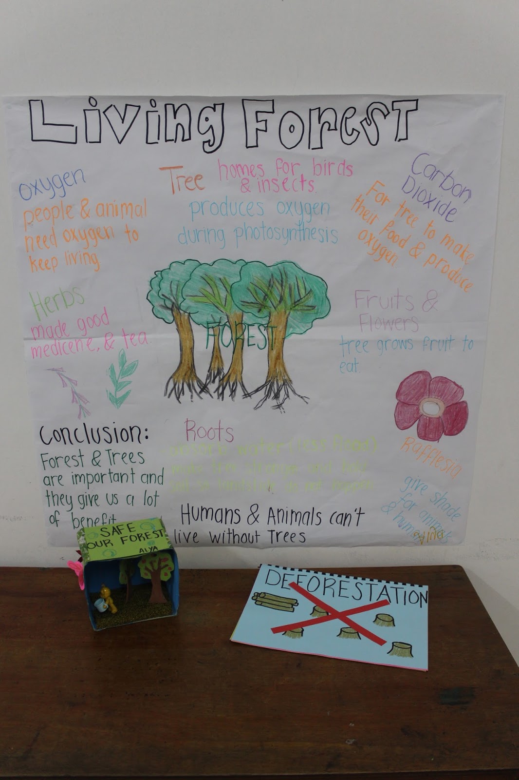 Horne Learning Services: Save the Trees Project Winners