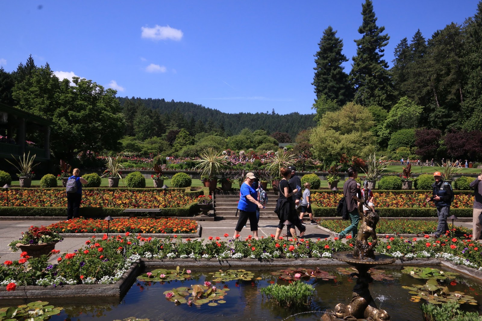 Delights of the Heart: Butchart Gardens, Roses Everywhere!