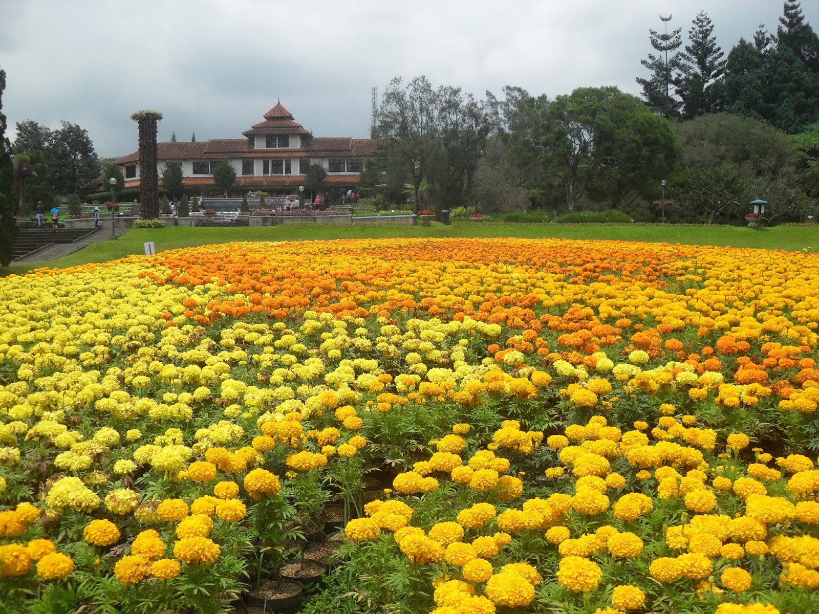 ALAM IMAJINASI: TAMAN BUNGA NUSANTARA