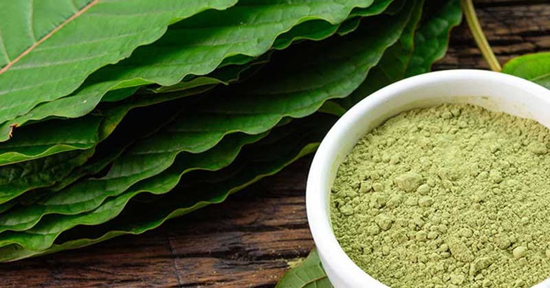 Pharmaland: Left coast kratom. Guru Kratom Powder White Elephant (Thai ...