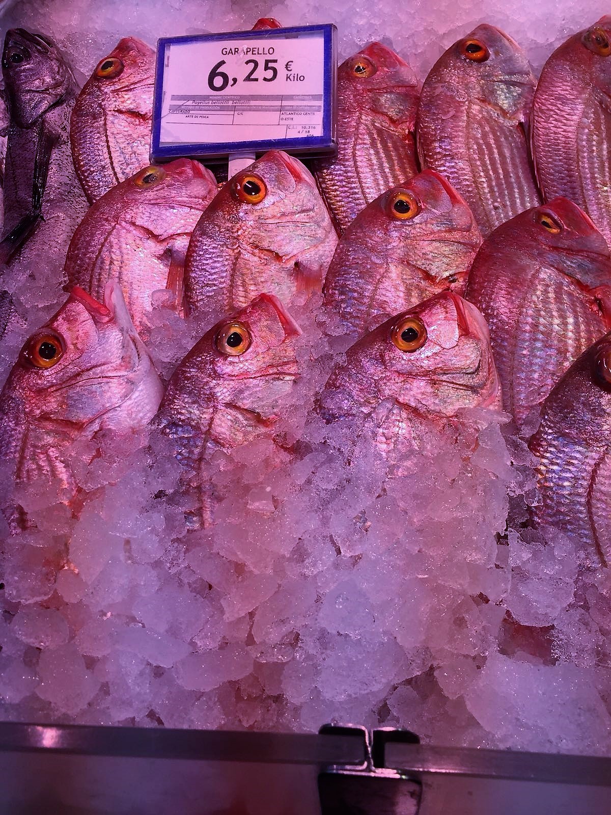 PESCA Y GASTRONOMÍA: PESCAR BRECAS A LA DERIVA