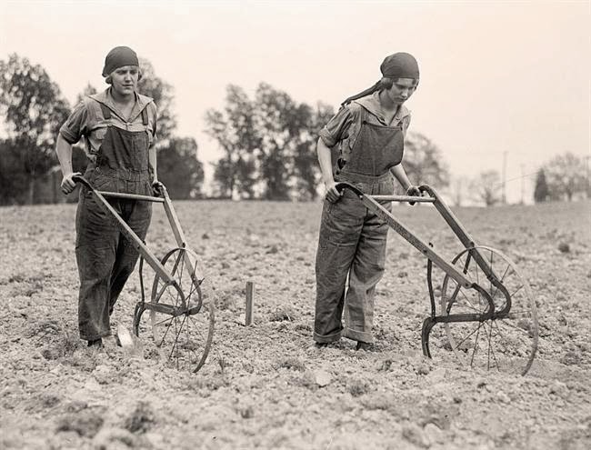 A wide open spacious life