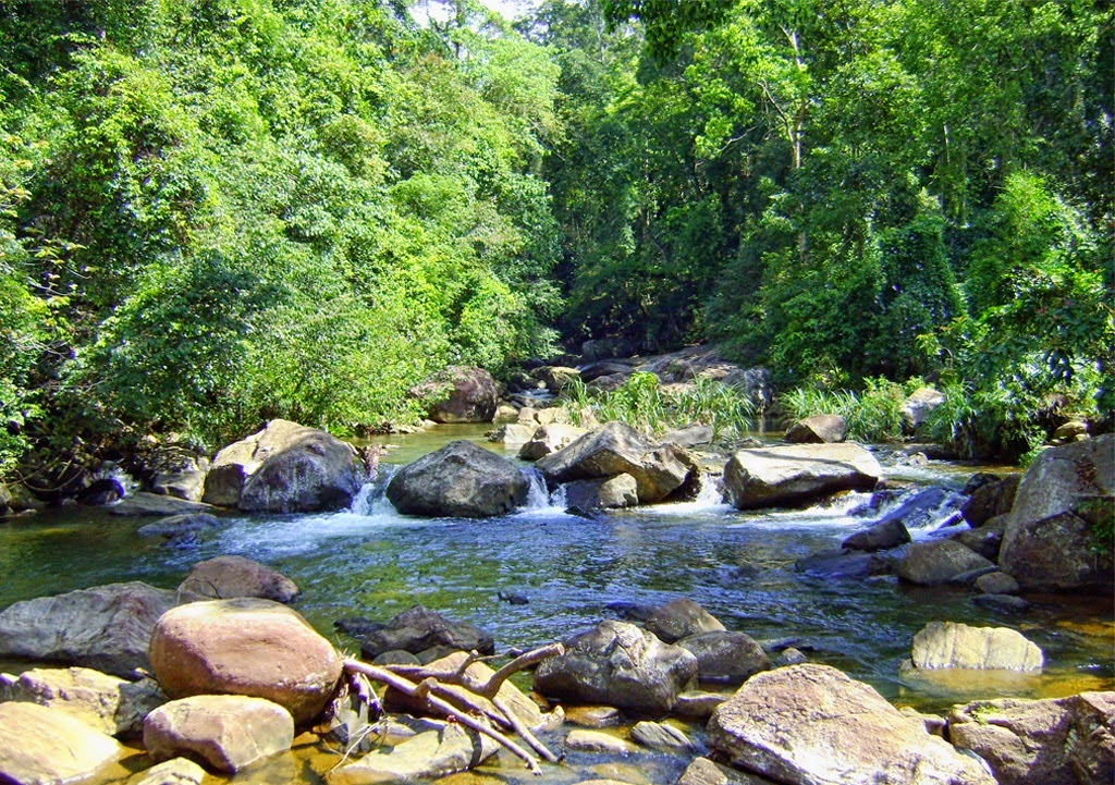 Helabima Tours and Travels: NACHCHIMALE - SRI LANKA