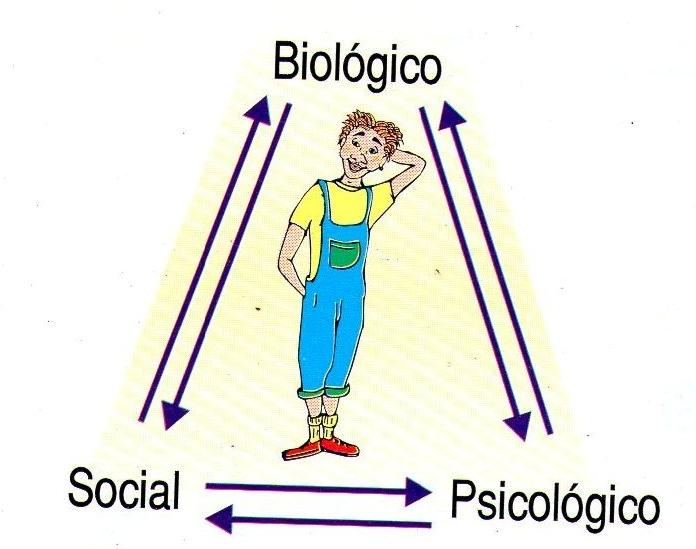 Bio-lógicas - La Biología que estabas buscando! : HOMBRE: SER BIO-PSICO ...