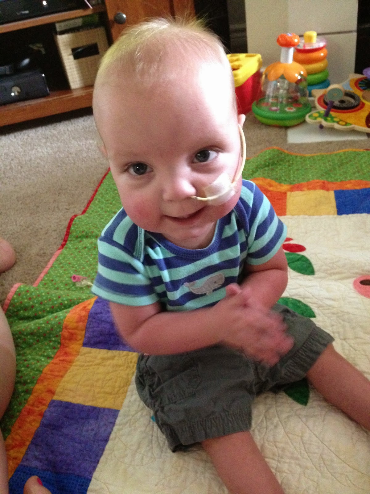 Bailey Beginnings: A Fresh Look at a New Life