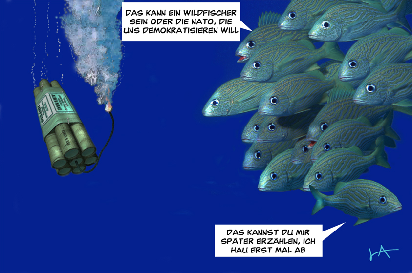 Tagesfisch: Die Kunst des Fischens -Dynamit