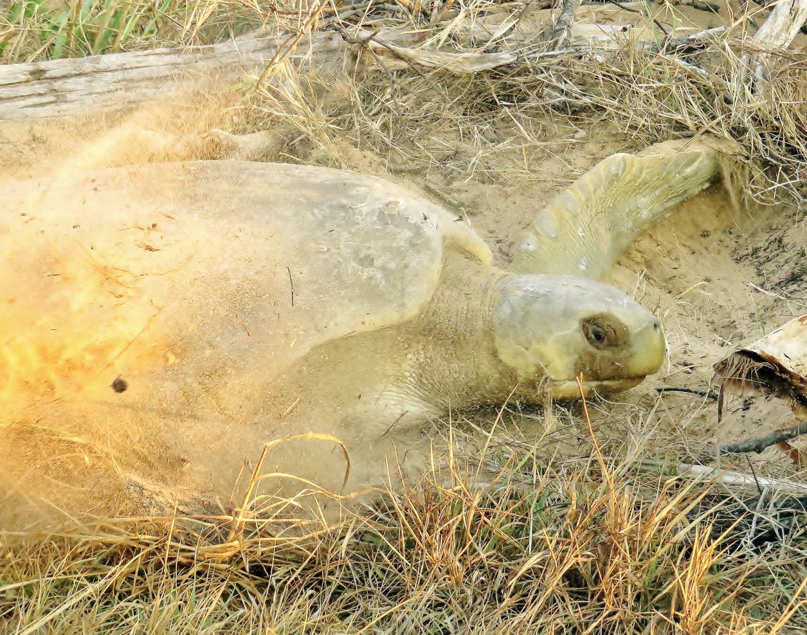A holiday to remember on Bundaberg's Coral Coast