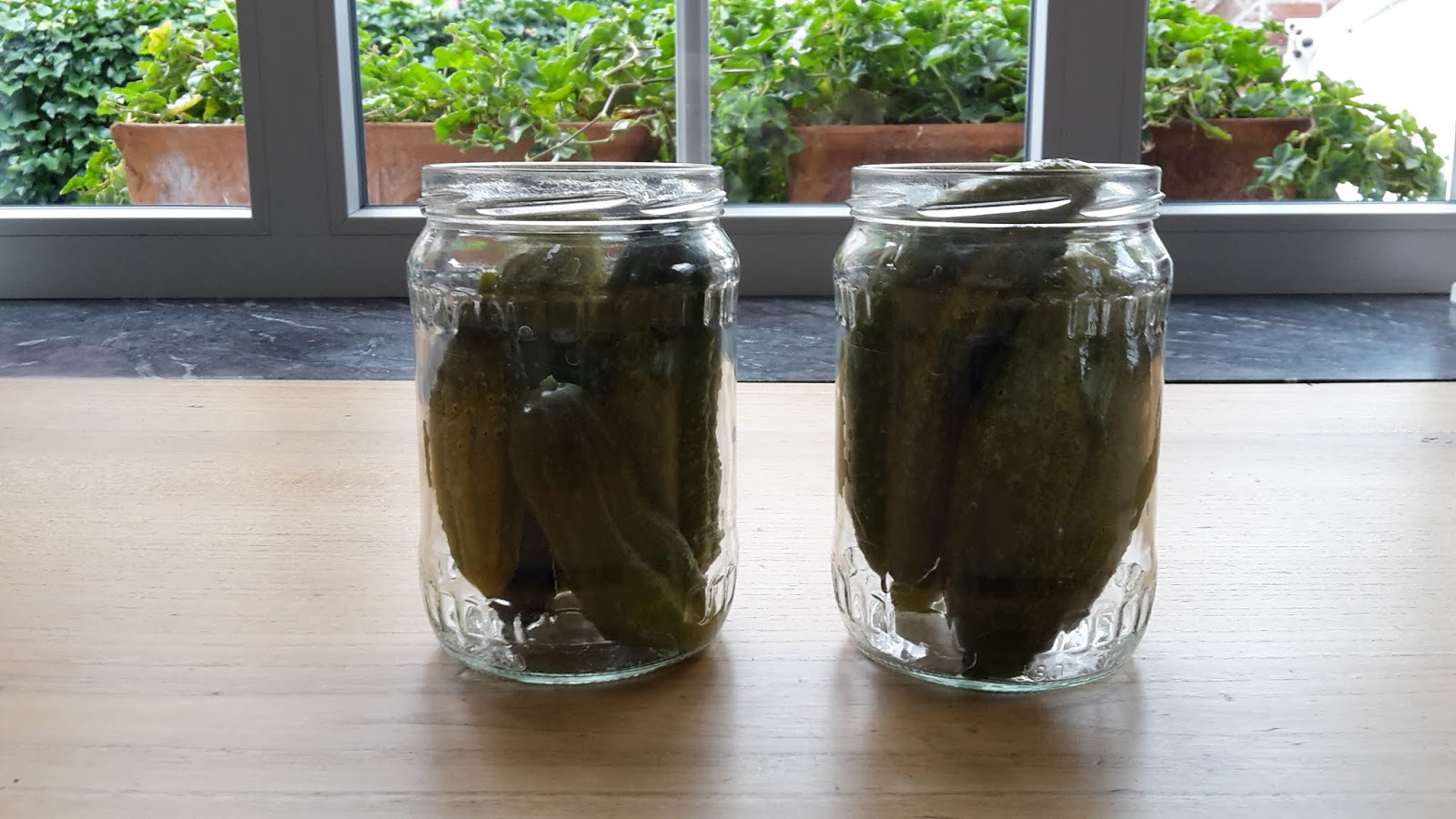 Zelf augurken inmaken