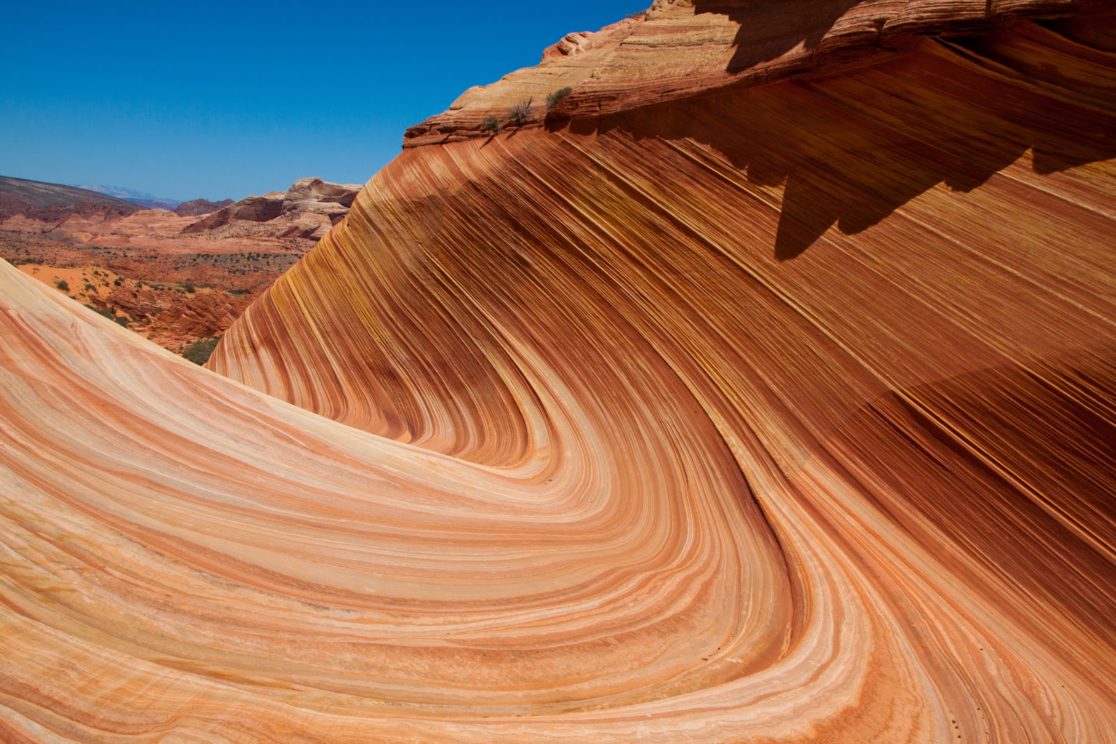 View from the Exerda: Eight Miles in the Mid-day, Mid-June Desert Heat ...