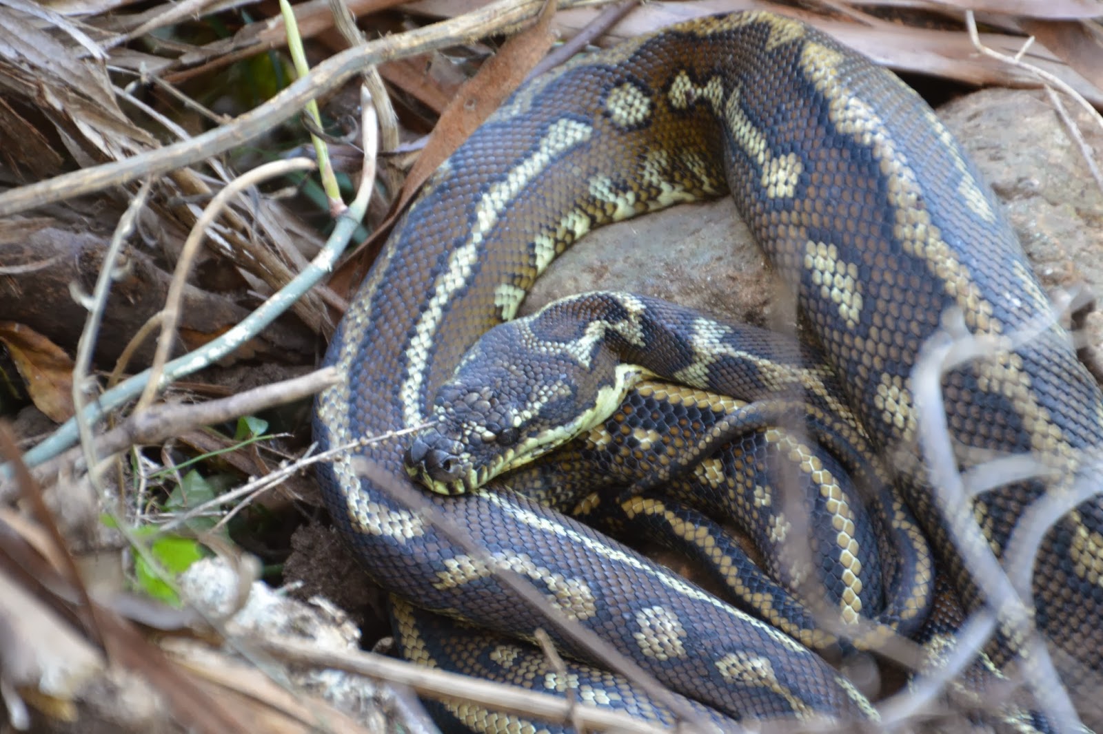 Eak & Shahn's Globetrotting Shenanigans: Weekend fun - Sailing, Hiking ...