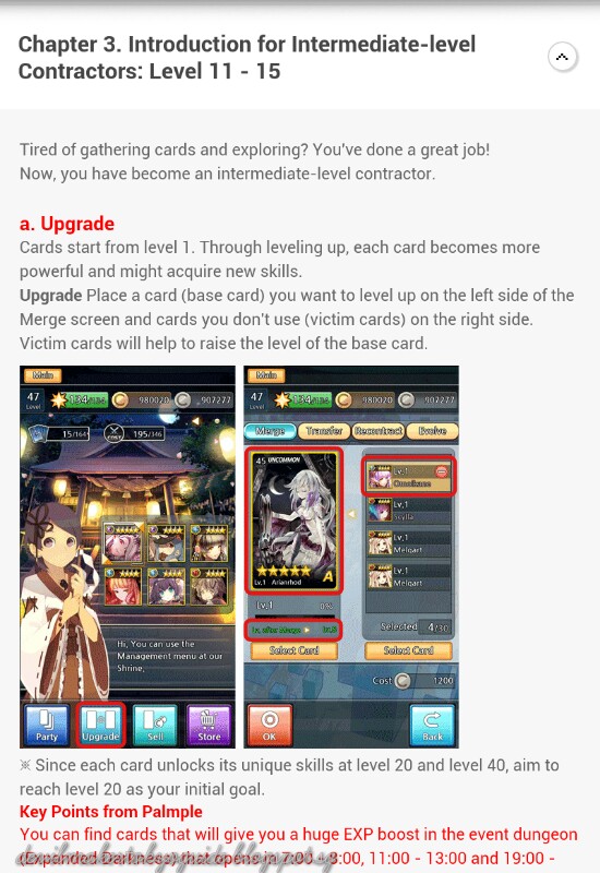 Devil Maker Tokyo Guide: Beginner