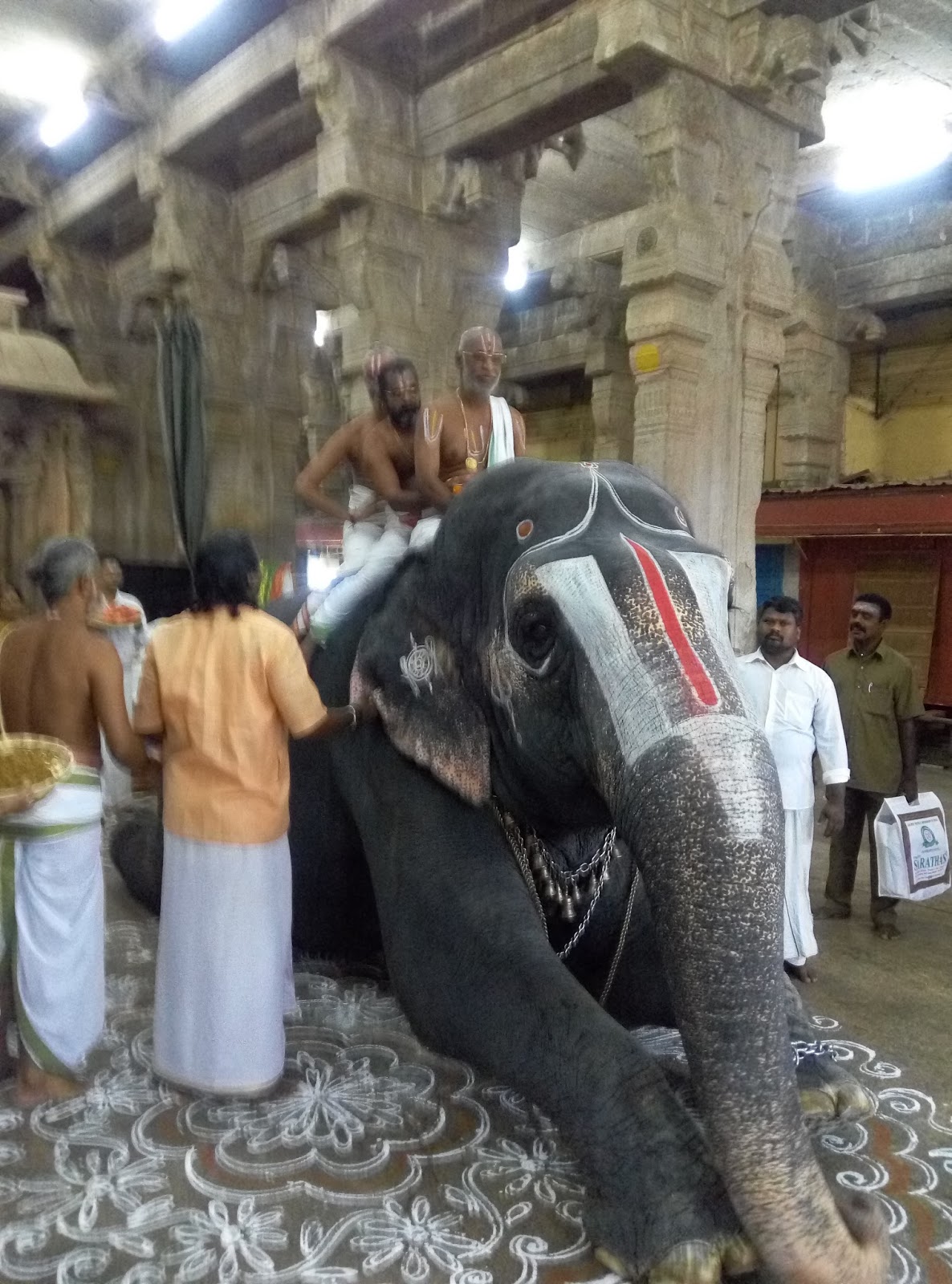 Temple, Travel and Sport: Srirangam Chitrai Kona Voyali