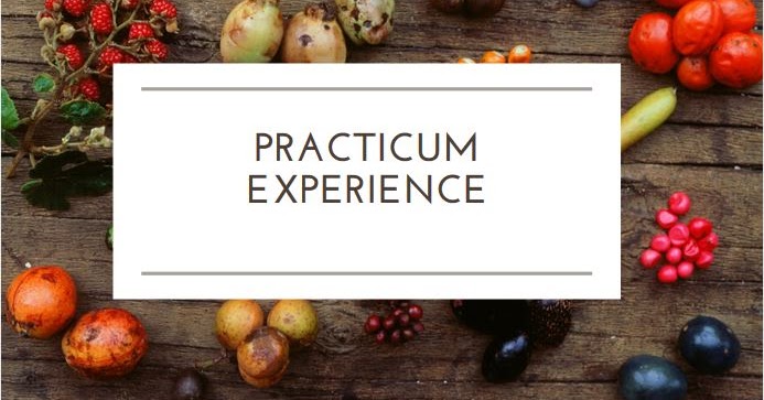 Practicum Experience