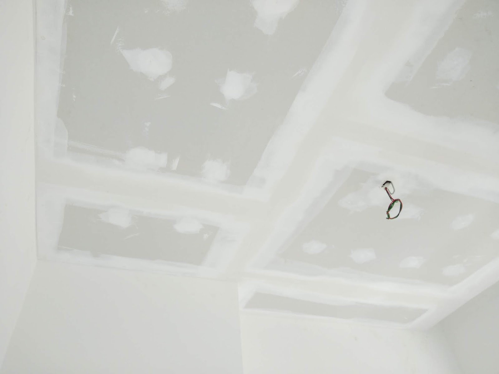 Plaster Siling/Specialist Plaster Ceiling (SBDICE)