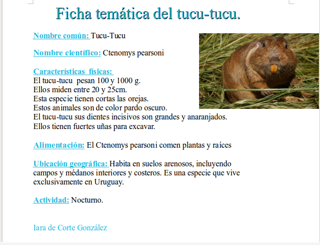 Descubriendo Bichos: Tucu-Tucu