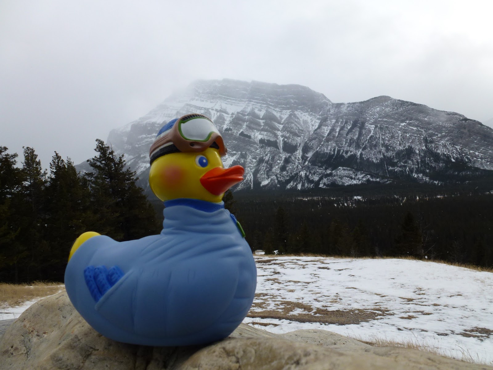 a ducky a day: Double Diamond Duck Slope Rubba Ducky