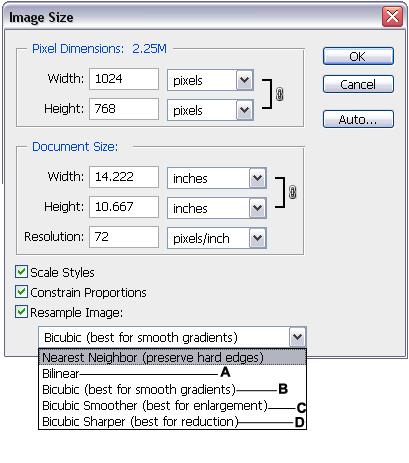 Adobe Photoshop CS3 Test ~ Test Answers
