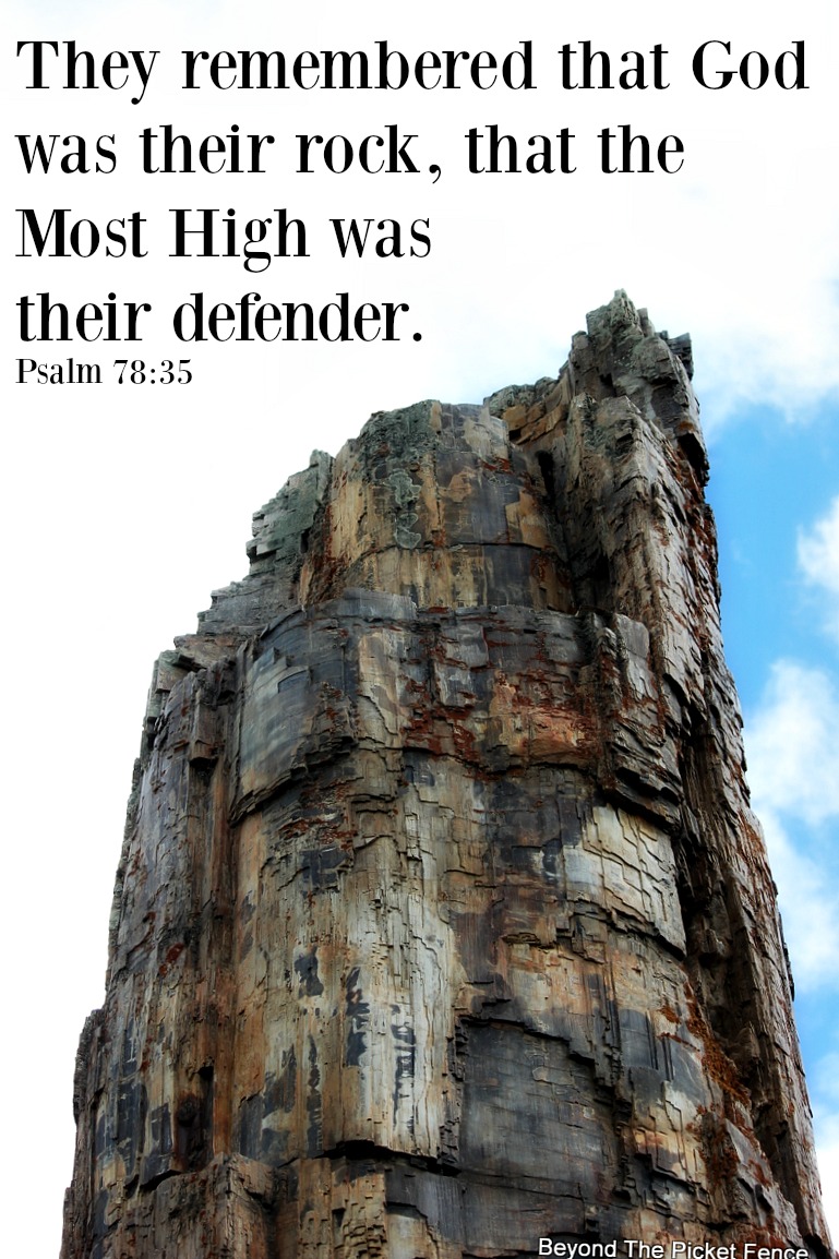 Beyond The Picket Fence: Sunday Verses